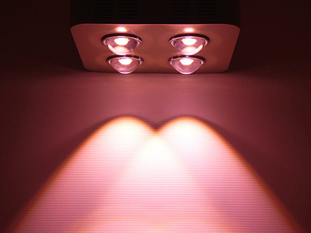 Zenith LED Grow Lights