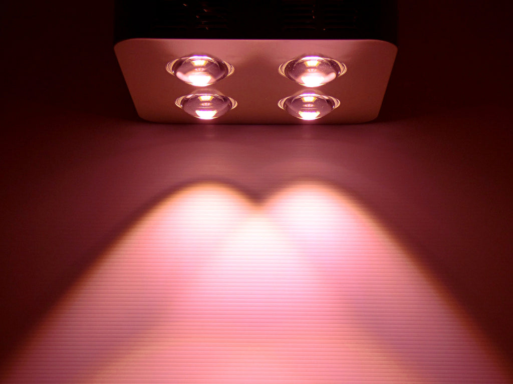 Zenith LED Grow Lights