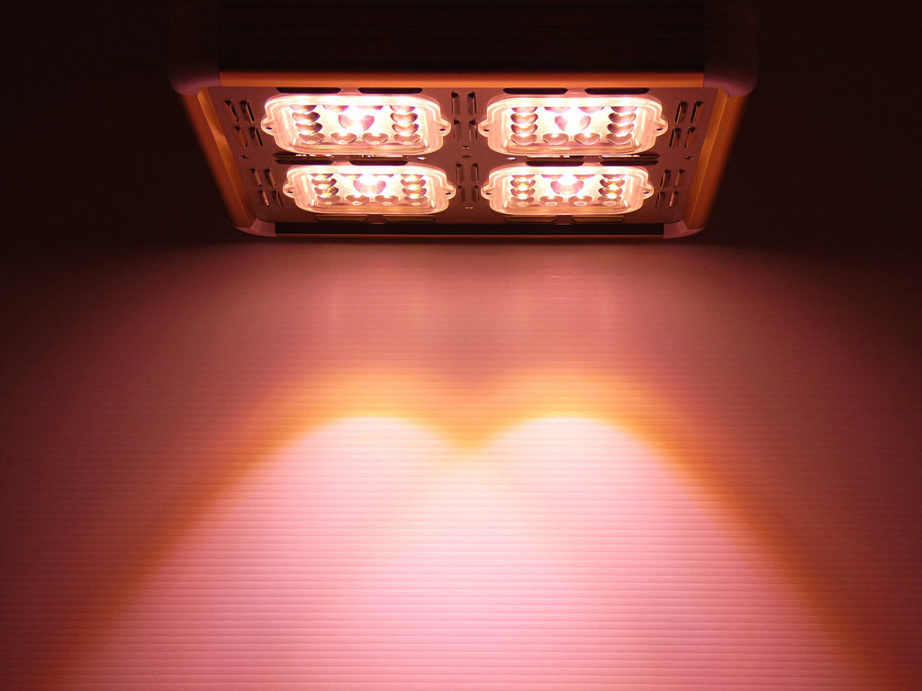 Zenith LED Grow Lights